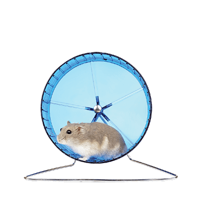 Hamster Wheel - WD-40 Asia